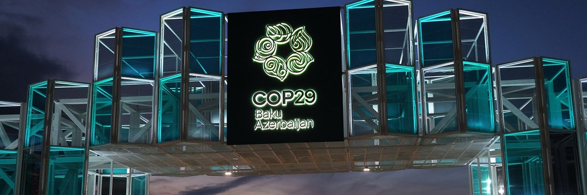COP29: Britons remain pessimistic of what climate summits can achieve ...