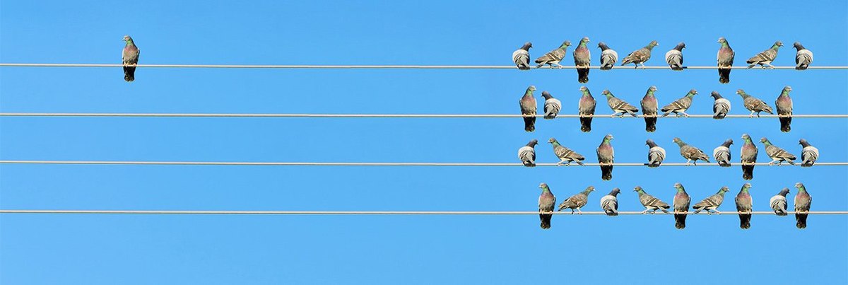 Made to Order: A look at consumer perception towards product ...