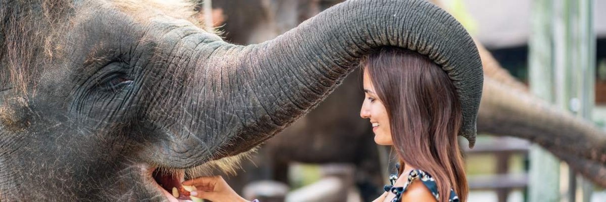 A quarter of the British public say zoos should be banned | YouGov