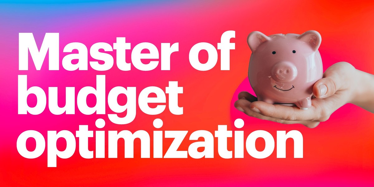 Master of budget optimization!