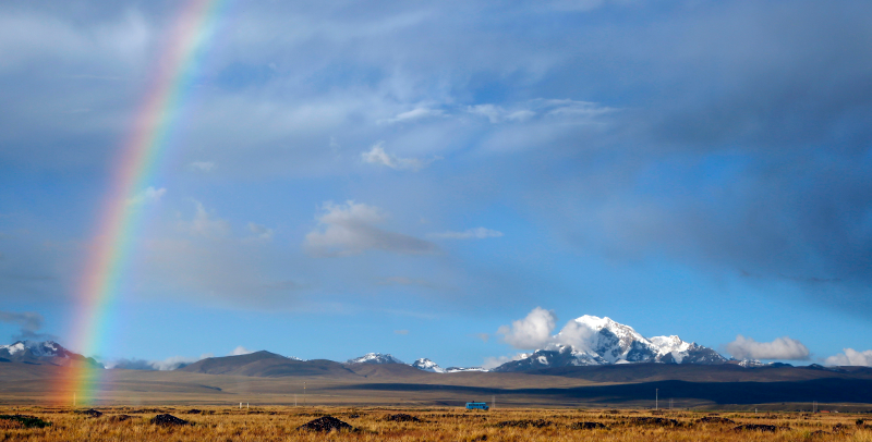 Why is blue the world's favorite color?